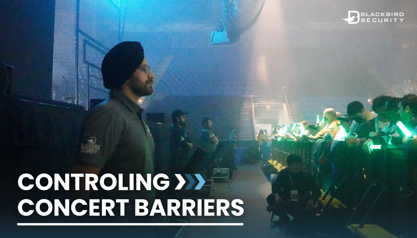 How Event Security Guards Control Concert Barriers - Blackbird Security