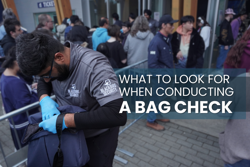 What to Look For When Conducting A Bag Check – Blackbird Security