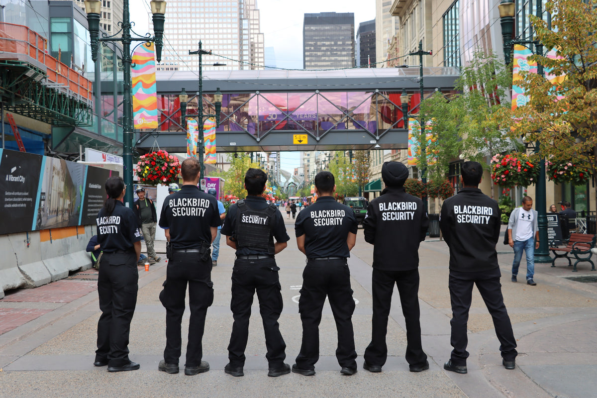 Professional Calgary Security Services | Blackbird Security