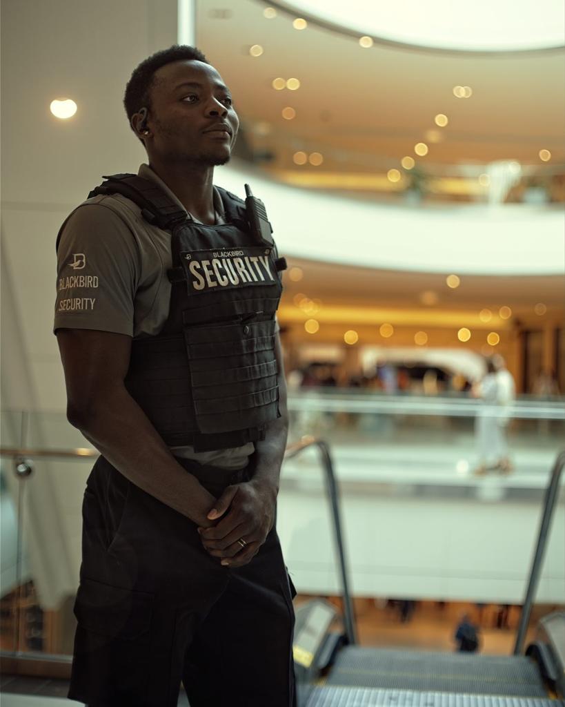 Professional Ottawa Security Services | Blackbird Security